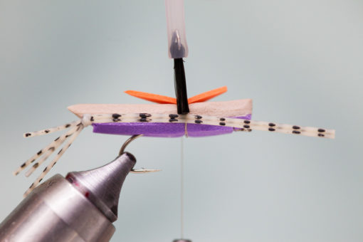 Morrish Hopper Step-by-Step | Hopperfishing