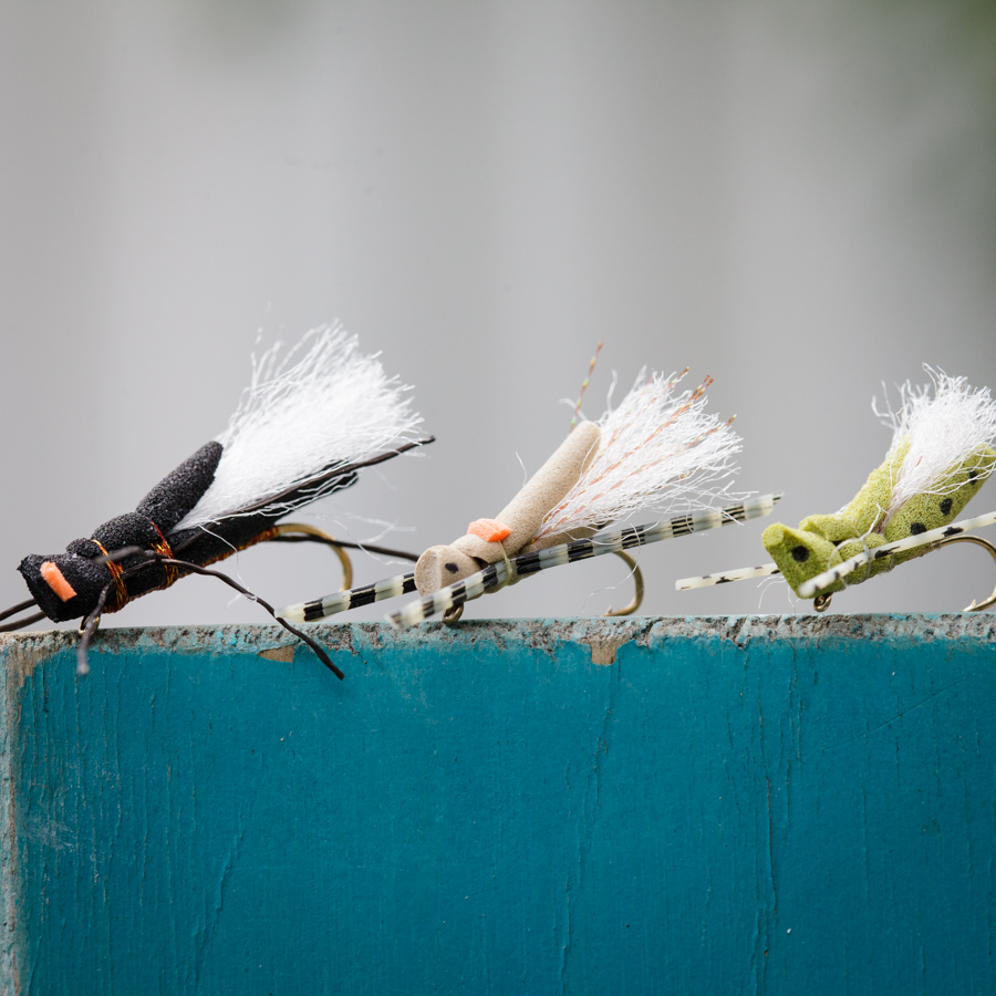 Blog | Hopperfishing